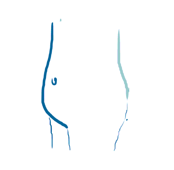 der Bauch – Deutsch ganz einfach – für Lehrer und Lerner