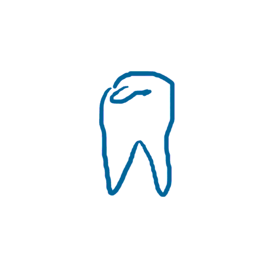 der Zahn – Deutsch ganz einfach – für Lehrer und Lerner